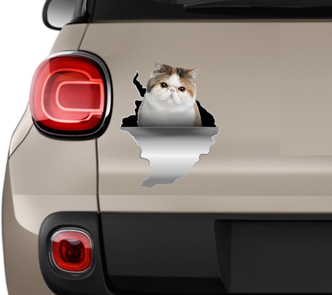 Cute Cat Stickers Cat Stickers Car Stickers Grey Cat Stickers Car ...