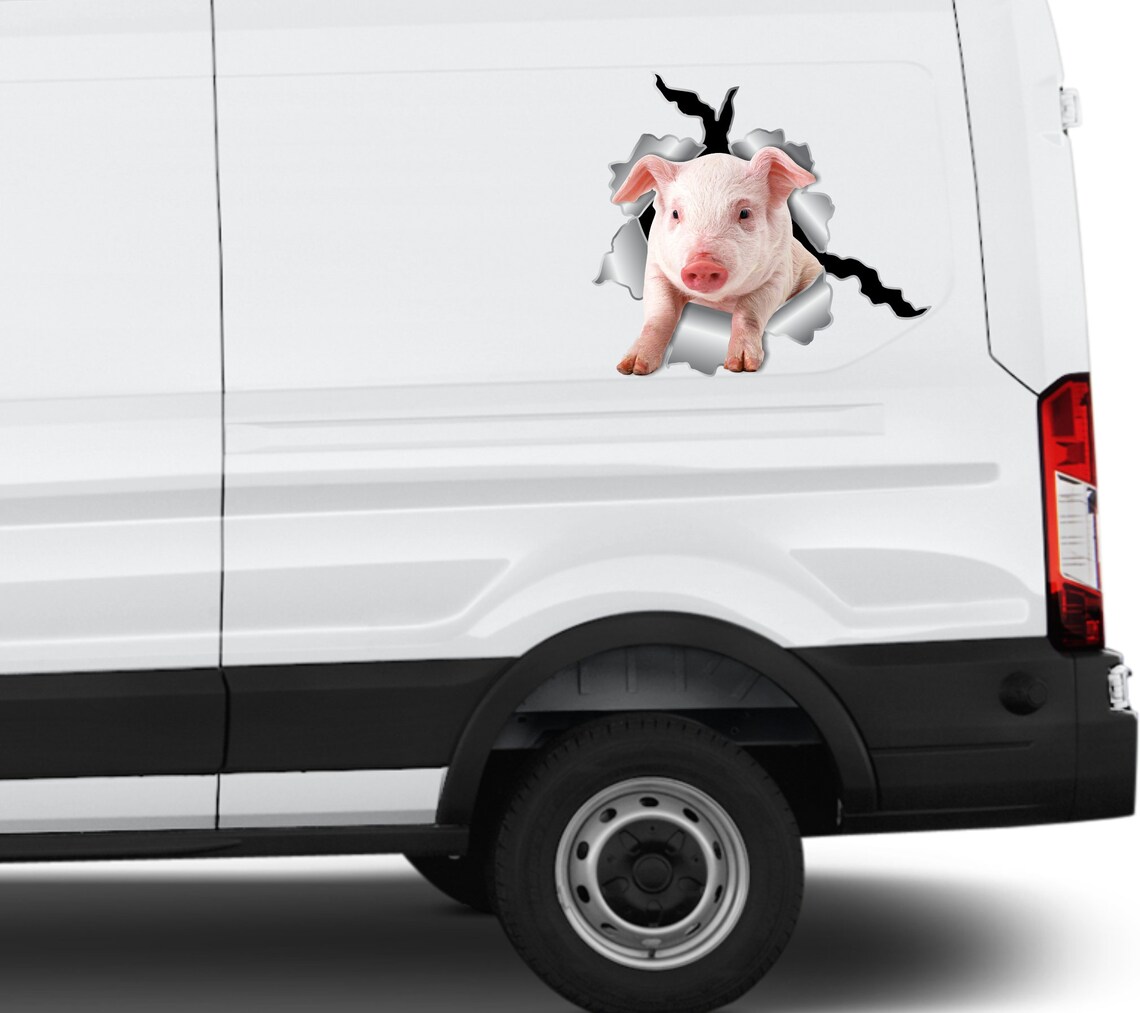 Car Sticker Pig Sticker Sticker Car Bumper Decal Pink Pig - Etsy
