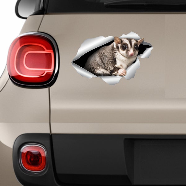 Sugar Glider Stickers - Etsy