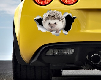 Hedgehog Car Decal - Etsy