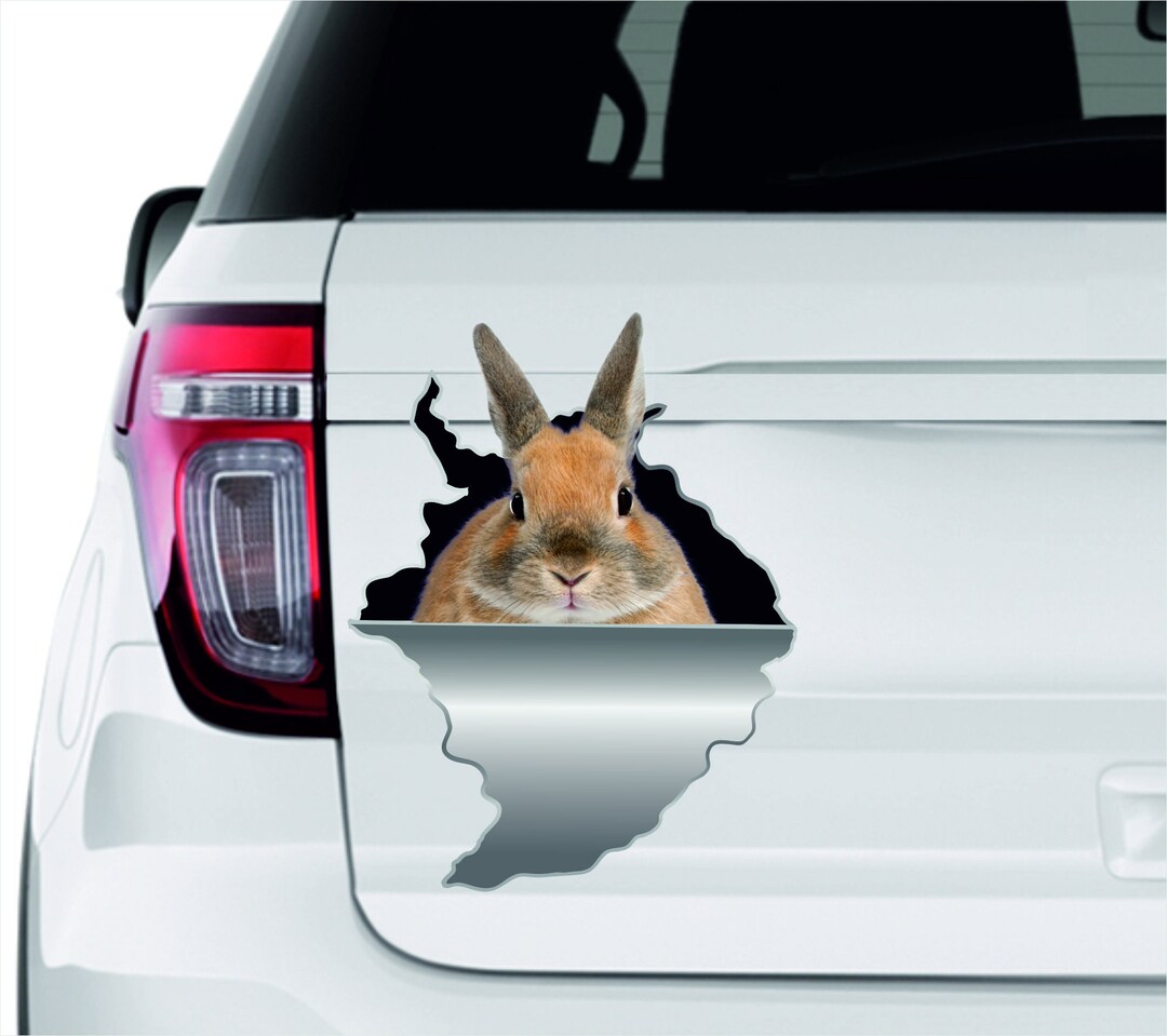 Rabbit 3d Sticker Decal Sticker Cute Sticker Animals Sticker Car Print ...