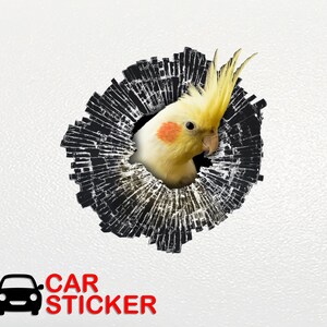 Corella Car Stickers Parrot Sticker Corella Stickers Yellow Corella Car ...