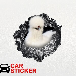 Silkie Chicken Car Sticker White Chicken Glass Chicken Sticker Hen ...