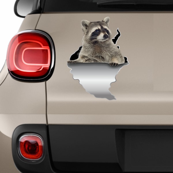 Raccoon Decal - Etsy