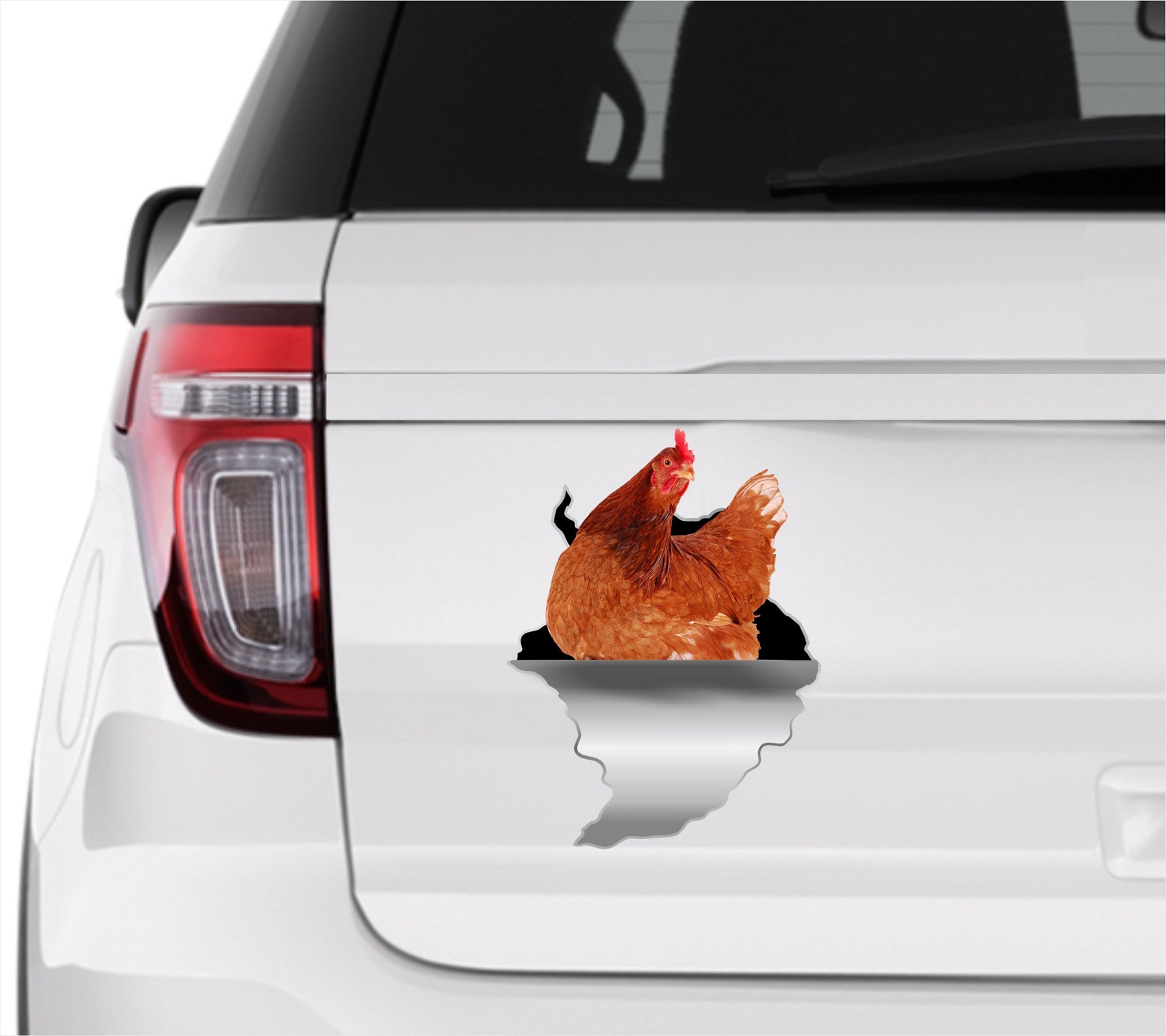 Hen Stickers Chicken Sticker Сock Sticker Rooster Sticker Car - Etsy