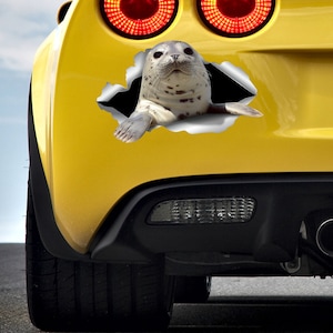 Harbor Seal Harbor Sticker Car Sticker Harbor Decal Car Decorations ...