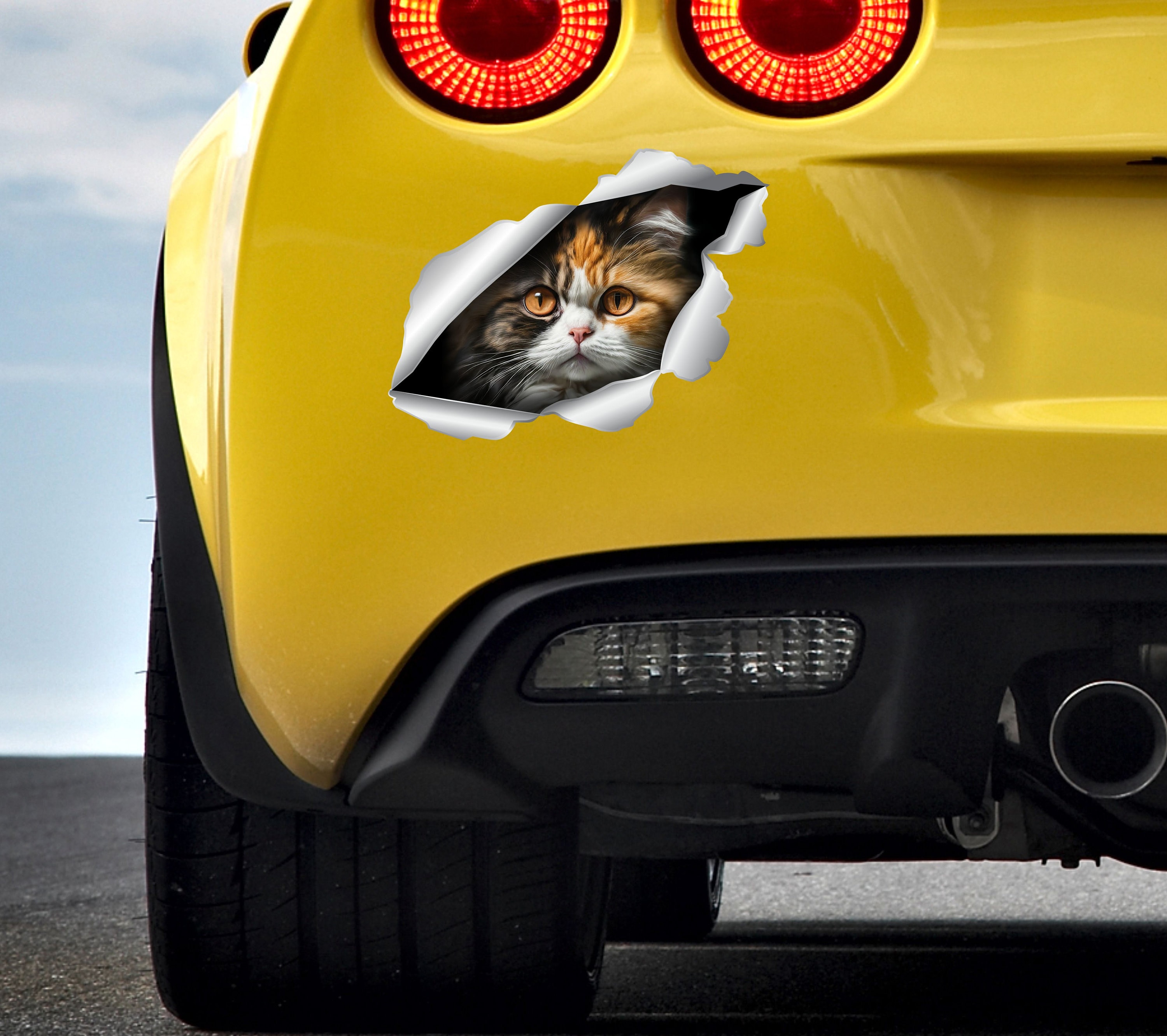 Persian Cat Stickers Car Tricolor Persian Cat Stickers Decal 3D ...
