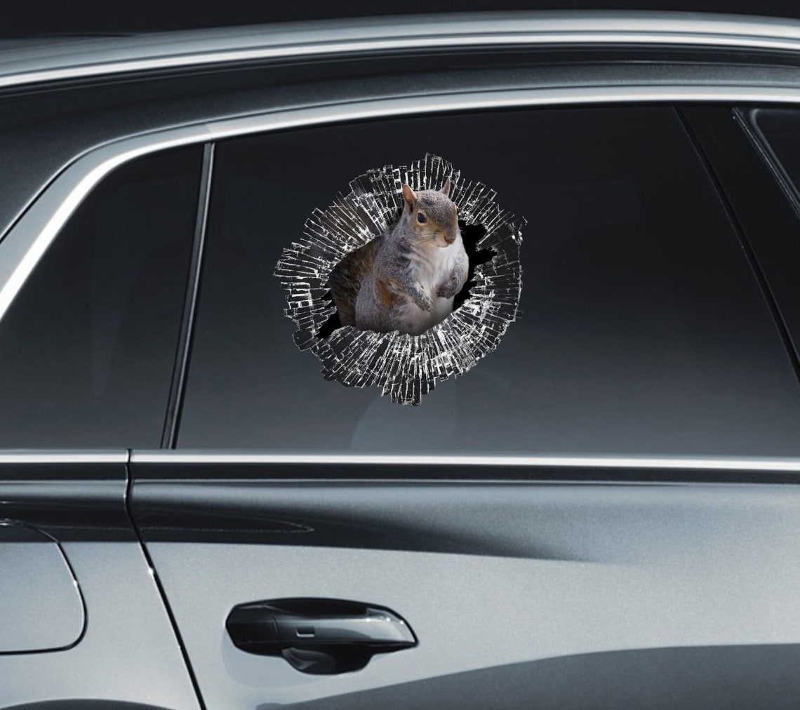 Window Broken Squirrel Sticker Squirrel Car Sticker Funny Car - Etsy