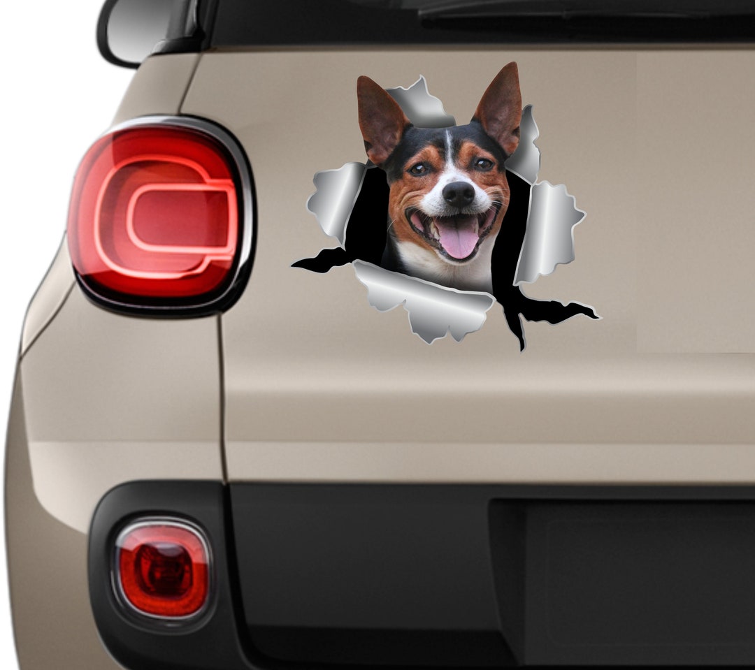 Rat Terrier Car Sticker Rat Terrier Sticker Dog Car Sticker Rat Terrier ...