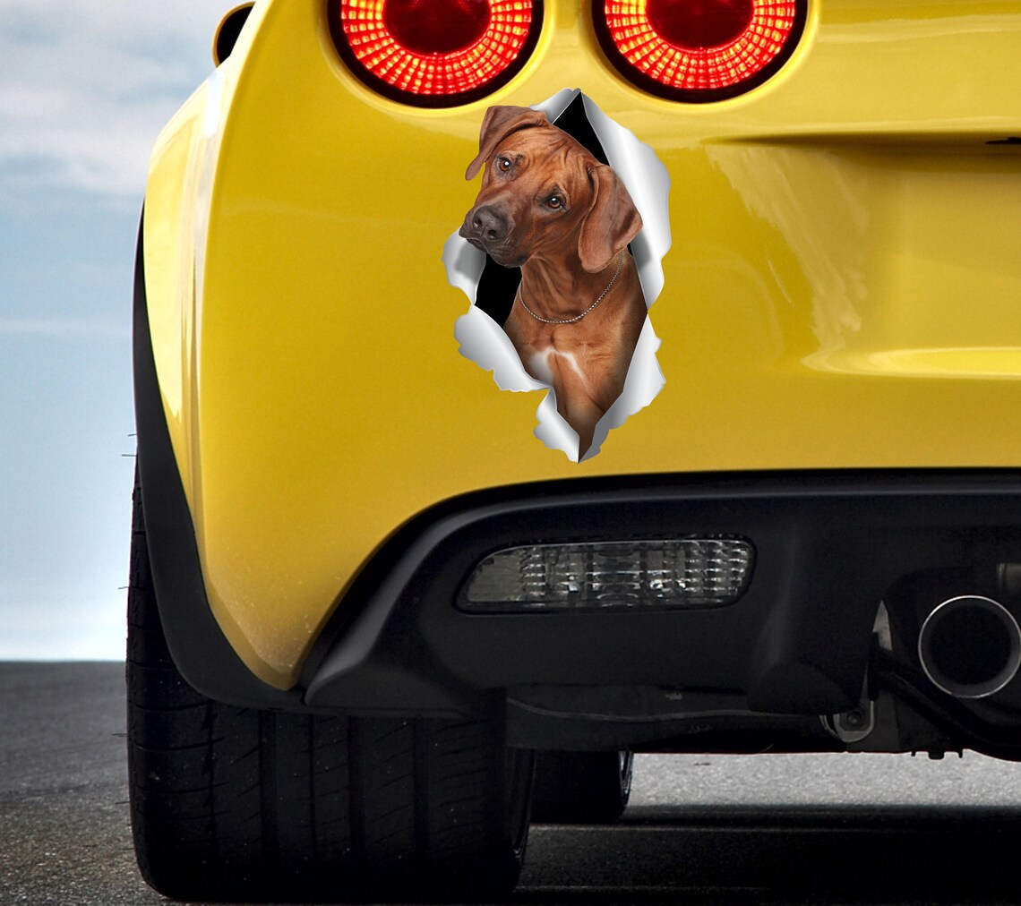Rhodesian Ridgeback Car Sticker Rhodesian Ridgeback Sticker - Etsy