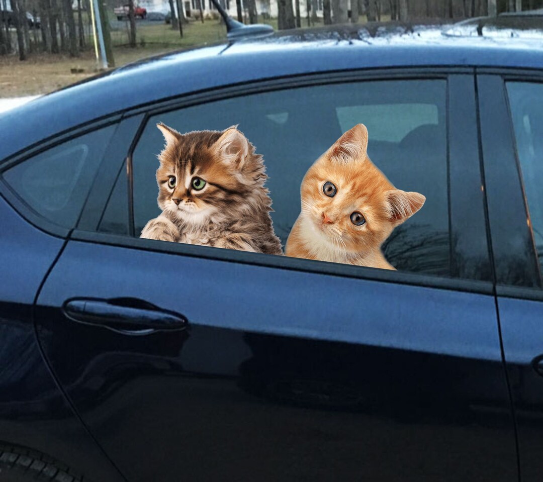 Stickers Car Two Cat Art Pretty Cat 3D Sticker Bumper Car Art Vinyl ...