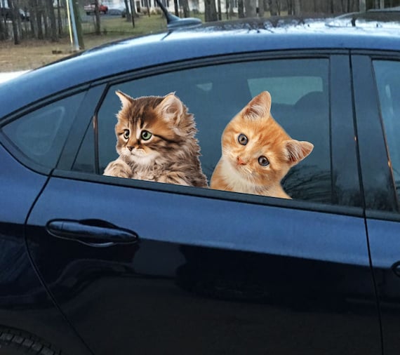 Stickers Car Two Cat Art Pretty Cat 3D Sticker Bumper Car Art | Etsy