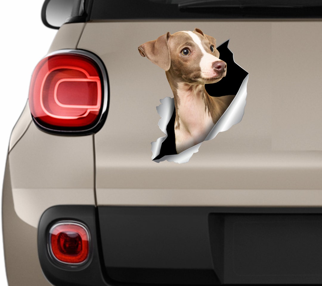 Greyhound Car Decal Car Sticker Italian Greyhound Stickers Dogs Sticker ...