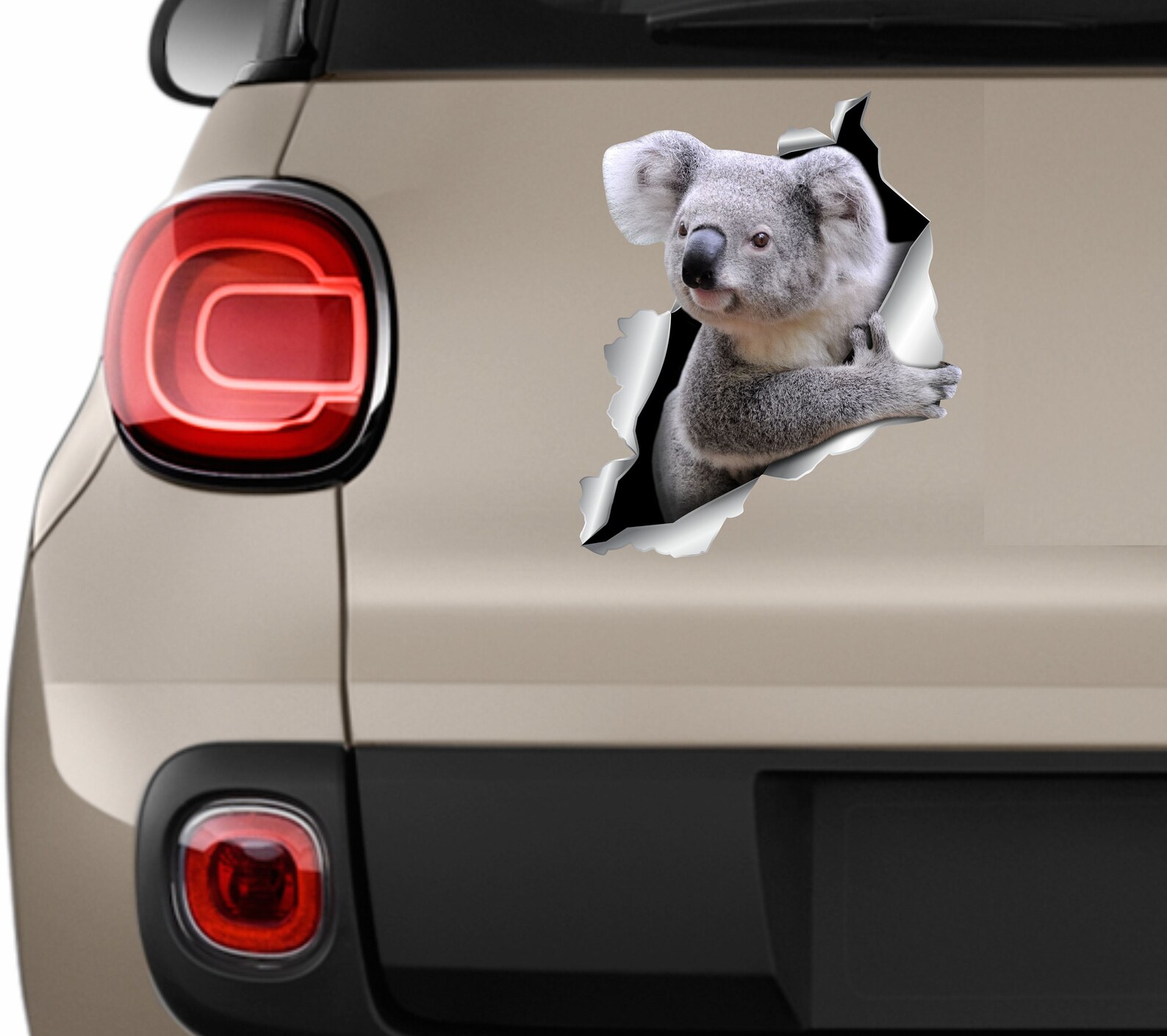 Car Sticker Koala Car Decal Animals Sticker Koala Decal Koala - Etsy