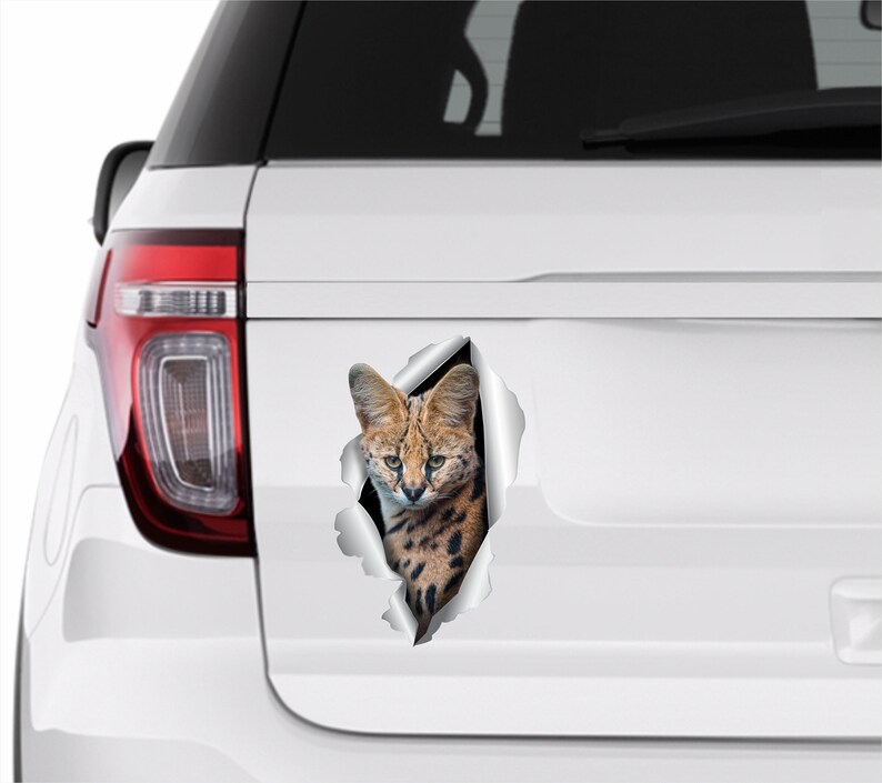 Serval Cat Decals Serval Sticker Wild Cat Car Sticker Serval Decal Car ...