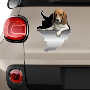 Pegatina para perro Decoración del coche Pegatina para coche Pegatina ...