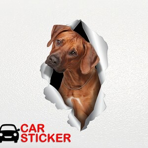 Rhodesian Ridgeback Car Sticker Rhodesian Ridgeback Sticker Dog Car ...