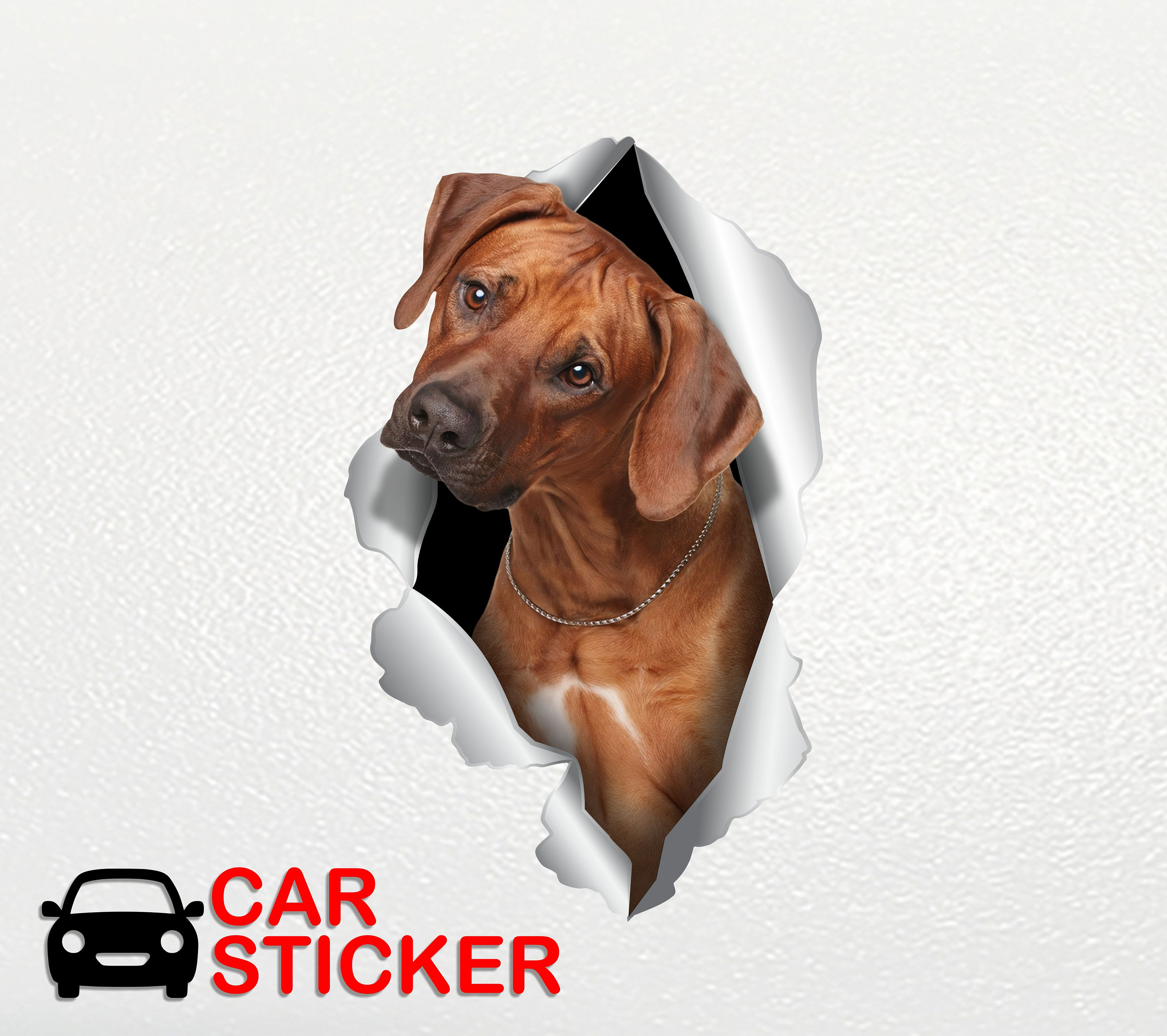 Rhodesian Ridgeback Car Sticker Rhodesian Ridgeback Sticker - Etsy