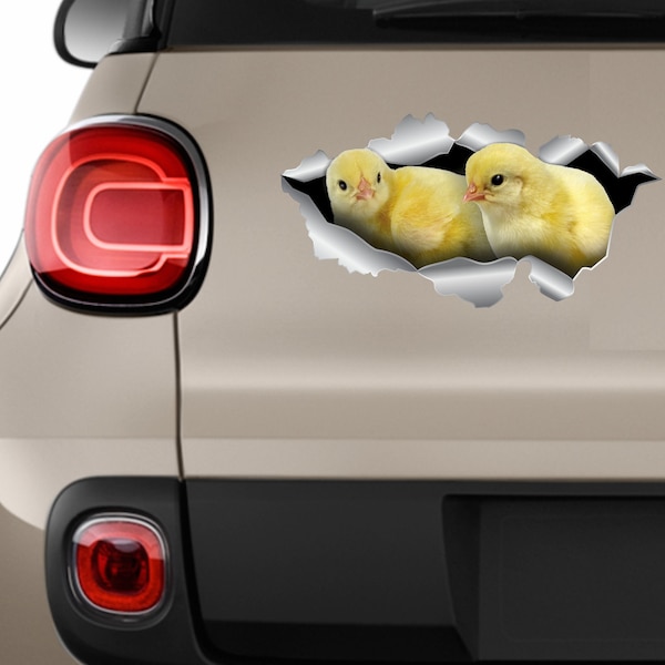 Chick Stickers - Etsy