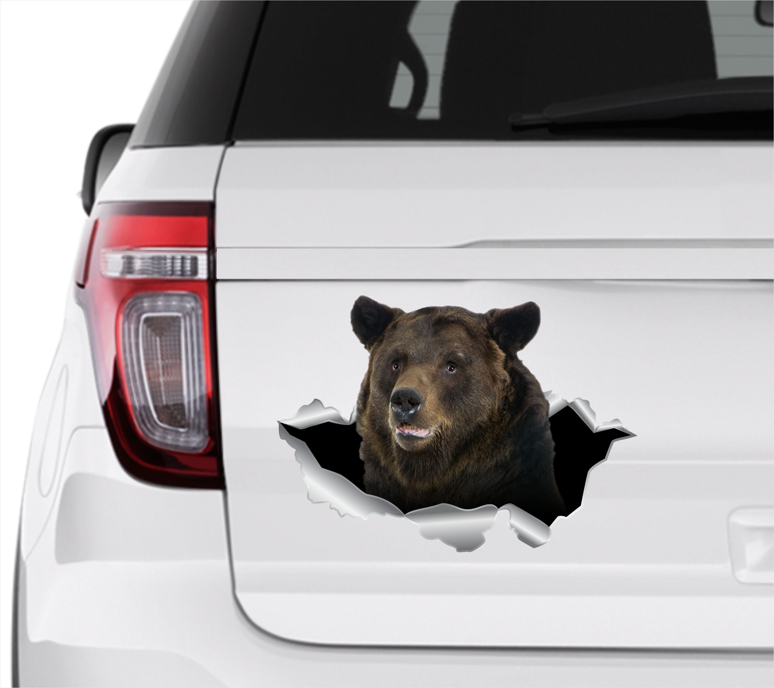 Brown bear 3D stickers Car decal Wild animals sticker Car | Etsy