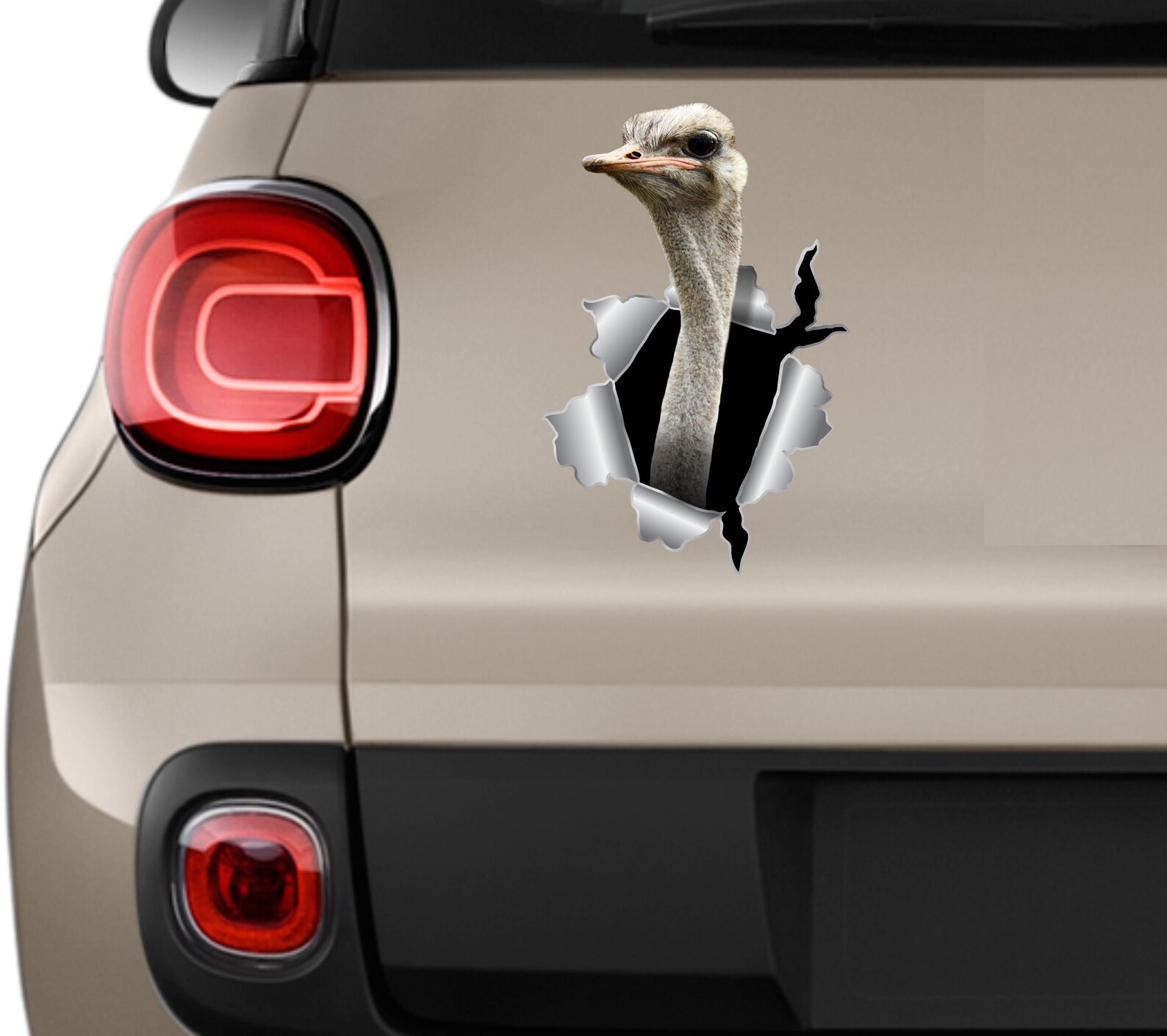 Ostrich Sticker Ostrich Decal Funny Ostrich Car Decal Bumper Sticker ...