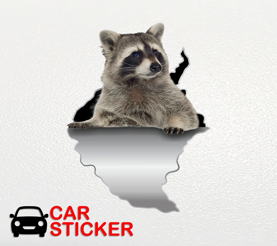 Auto Sticker Raccoon Sticker Coon Sticker Racoon Sticker Car - Etsy
