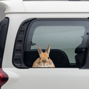 Rabbit Car Sticker Bumper Sticker Rabbit Sticker Rabbit Car Animal ...