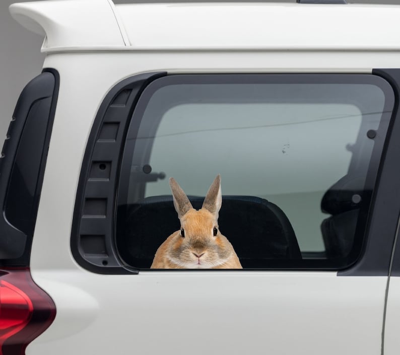 Rabbit Car Sticker Bumper Sticker Rabbit Sticker Rabbit Car - Etsy