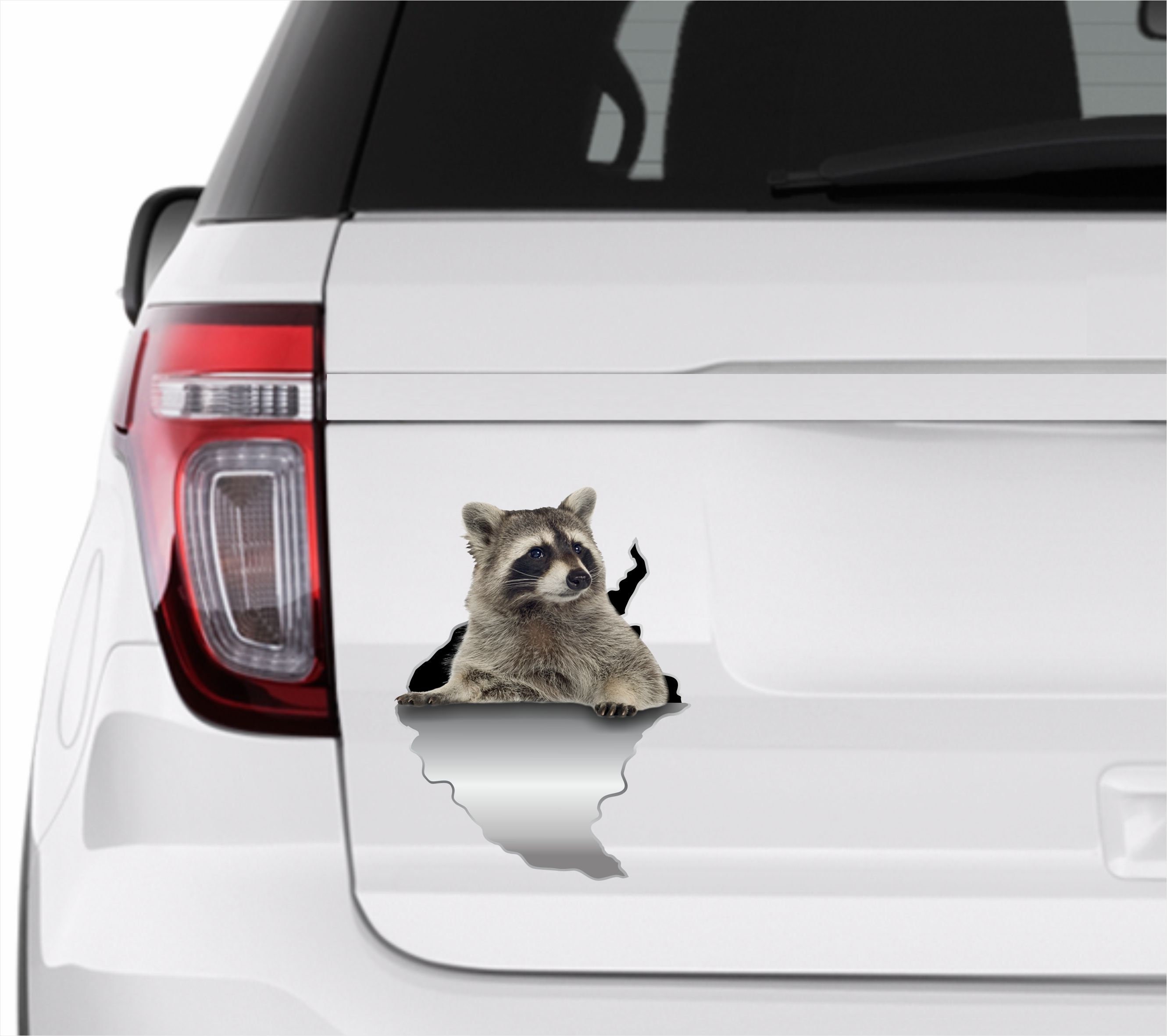 Auto sticker Raccoon sticker Coon sticker Racoon sticker Car | Etsy