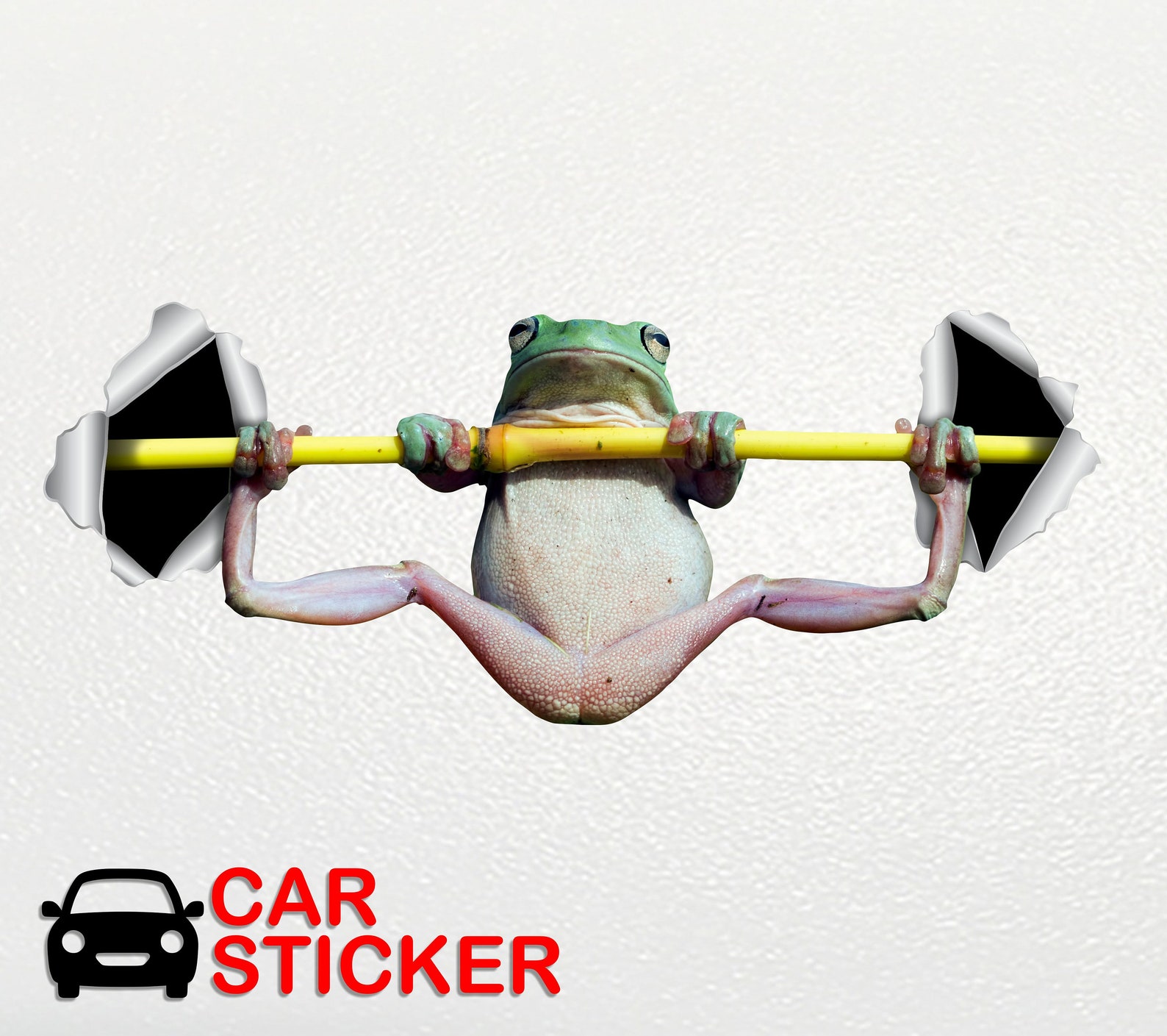 Car sticker Frog decal Color frog sticker Green frog sticker | Etsy