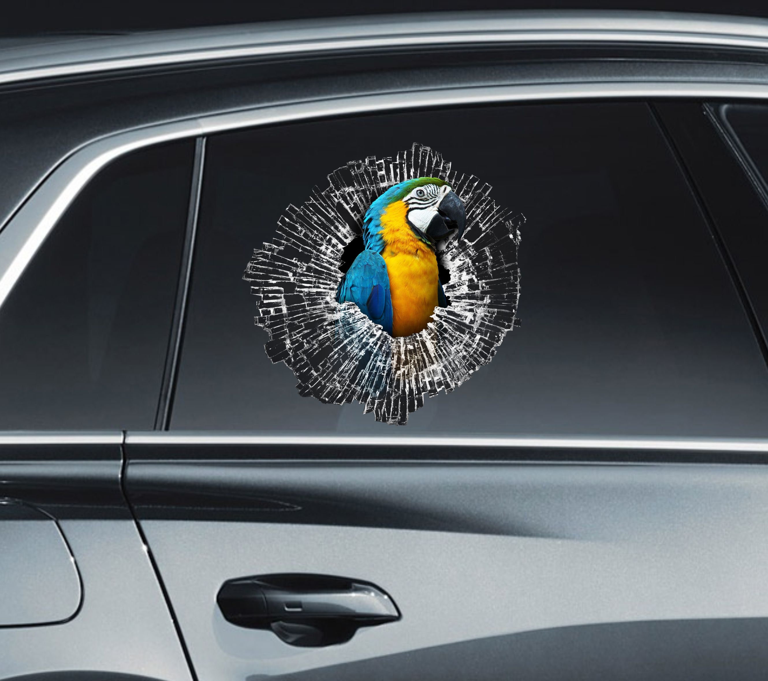 Parrot Sticker Macaw Stickers Blue and Yellow Macaw Car Decal - Etsy ...