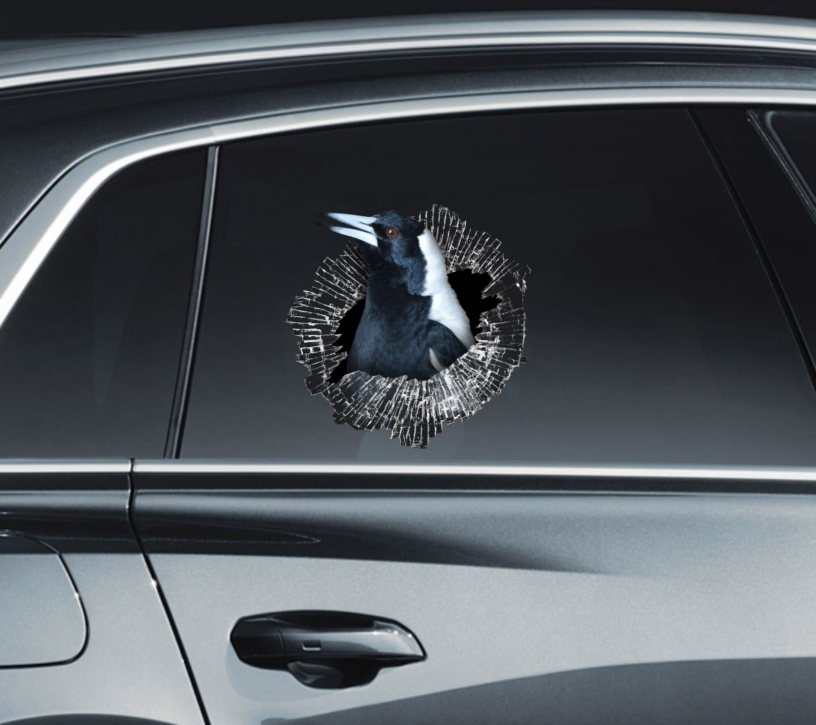 Australian Magpie Bird Car Stickers Birds Sticker Australian Bird Decal ...