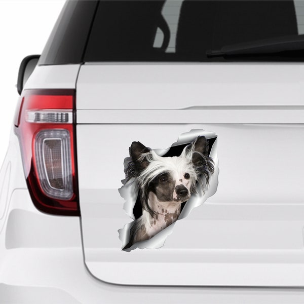 Chinese Stickers - Etsy