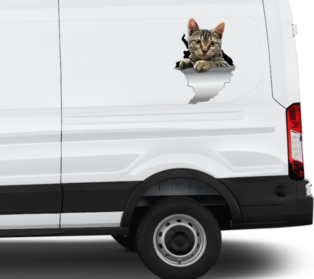 Car Stickers Cat Art Cat Stickers 3D Stickers Bumper Car Art Vinyl ...