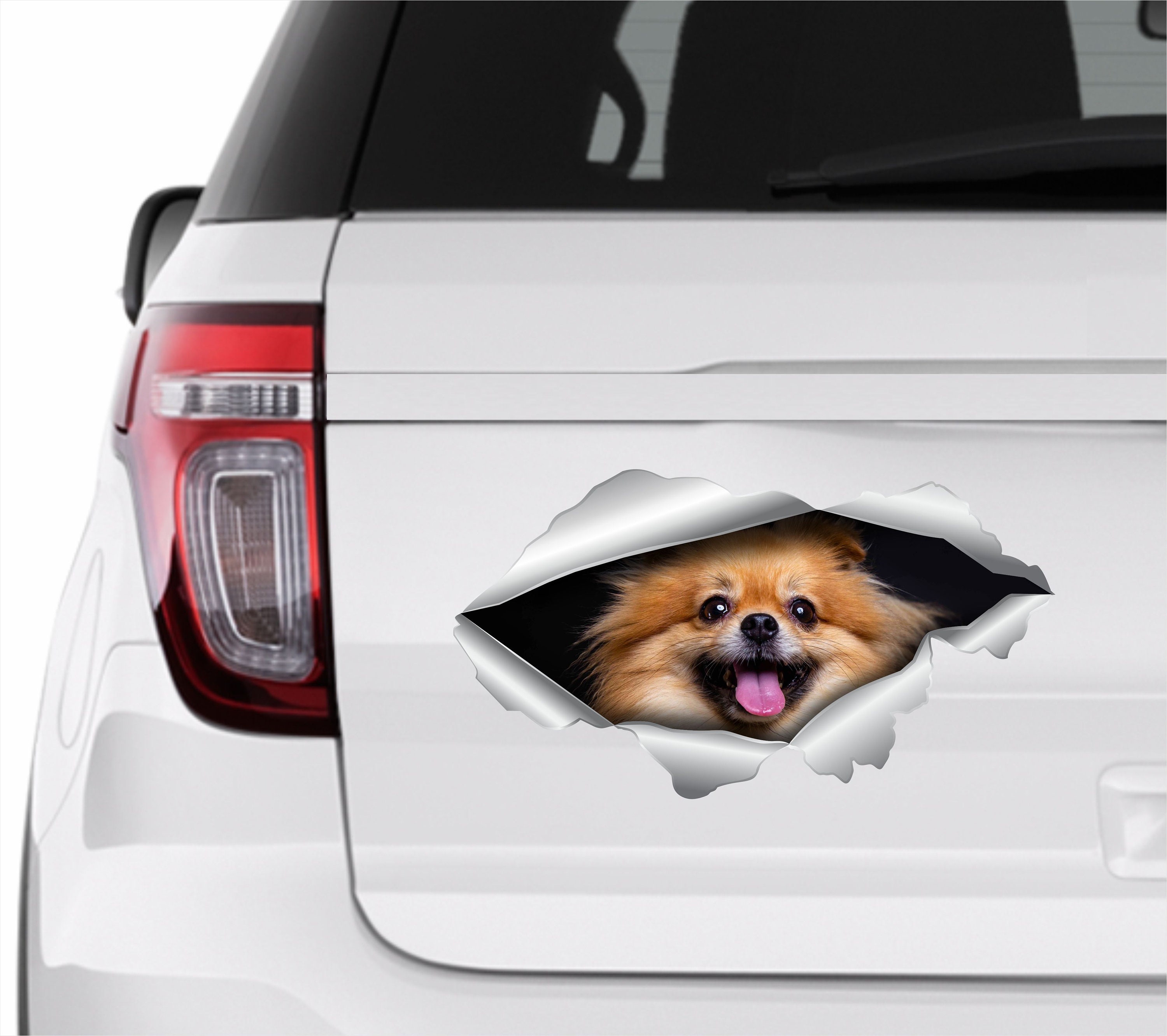Pomeranian Dog Decal Dog Stickers Pomeranian Stickers Сar Sticker Vinyl ...