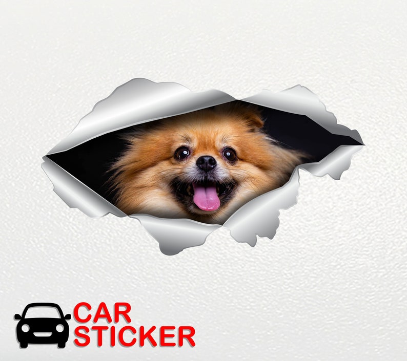 Pomeranian Dog Decal Dog Stickers Pomeranian Stickers Сar Sticker Vinyl ...