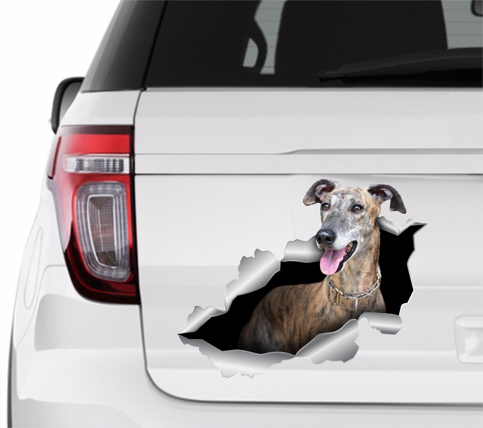 Brindle Whippet Sticker Brindle Whippet Car Decal Whippet Car | Etsy