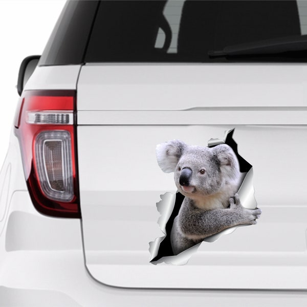 Koala Decal - Etsy