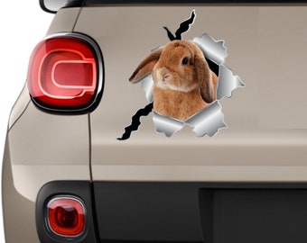 Crazy Binky Bunny Lady Decal Full Text Rabbit Sticker / Car - Etsy