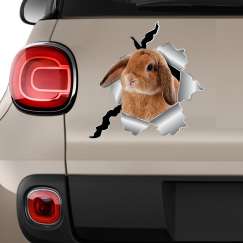 Bunny Stickers Car Sticker Rabbit Stickers Rabbit Decal Bunny - Etsy