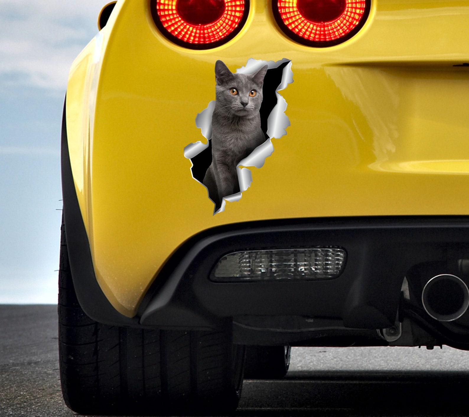 Car Cat Decal Gray Cat Sticker Car Stickers Cat Cat Sticker Etsy