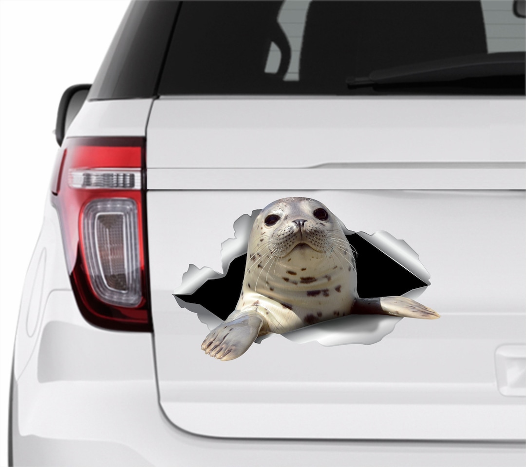 Harbor Seal Harbor Sticker Car Sticker Harbor Decal Car Decorations ...
