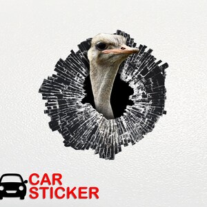 Car Sticker Car Decal Ostrich Sticker Broken Window Ostrich Decal Funny ...