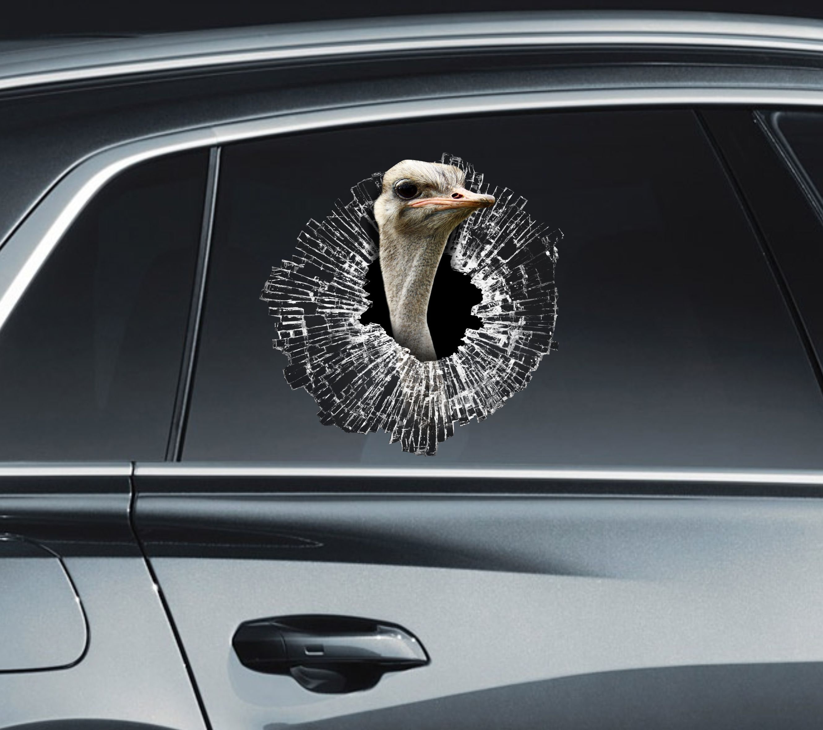 Car Sticker Car Decal Ostrich Sticker Broken Window Ostrich Decal Funny ...