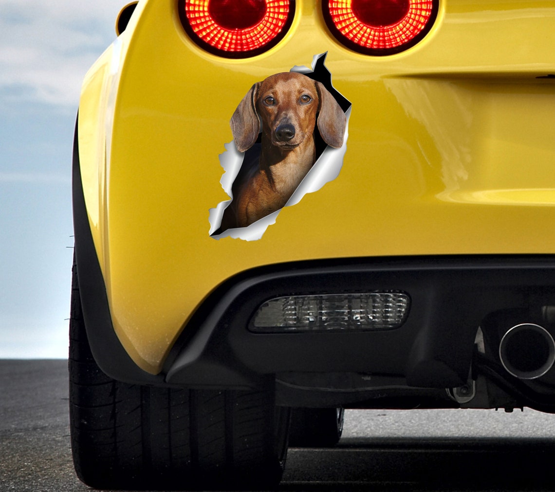 Car Sticker Double Chocolate Mini Dachshund Car Decals Pet - Etsy