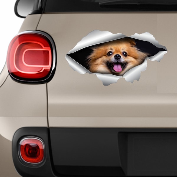 Pomeranian Decal - Etsy