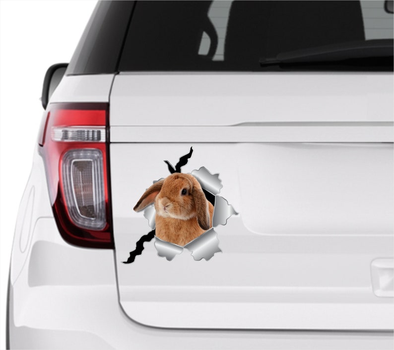 Bunny Stickers Car Sticker Rabbit Stickers Rabbit Decal Bunny - Etsy