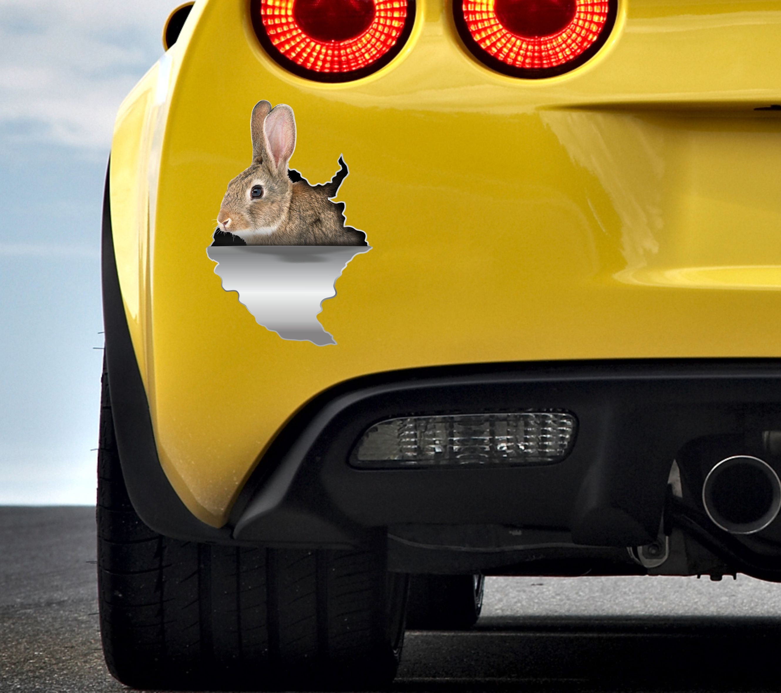 Rabbit Car Decal Hare Sticker Rabbit Stickers Car Sticker Car Decal ...