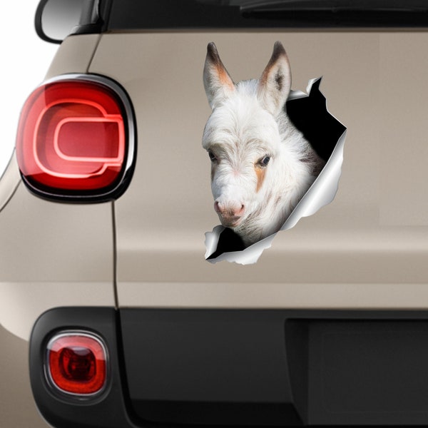 Donkey Car Stickers - Etsy