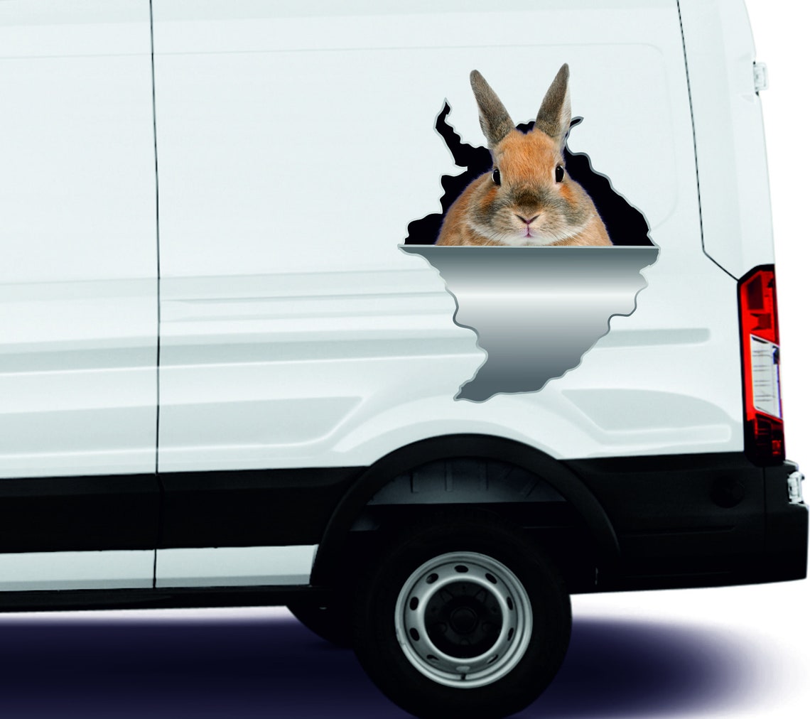 Rabbit 3d Sticker Decal Sticker Cute Sticker Animals Sticker - Etsy